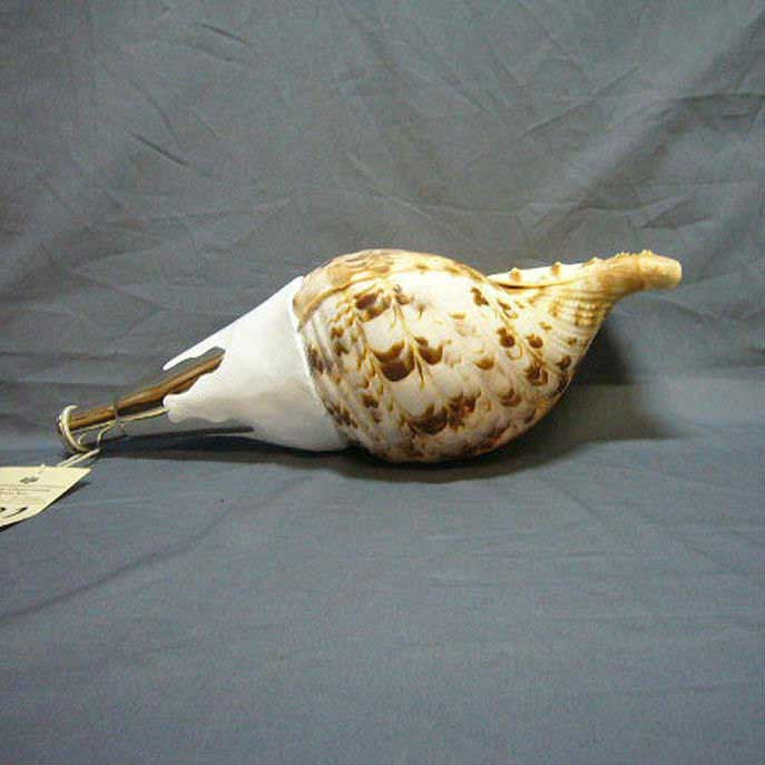 Horagai Conch - For online shopping of Japanese culture items, go to ...